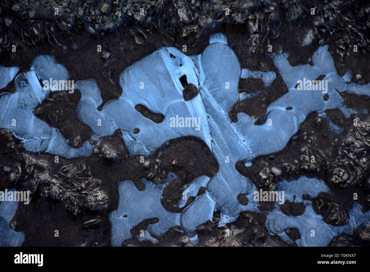 Puddle ice formations Stock Photo - Alamy