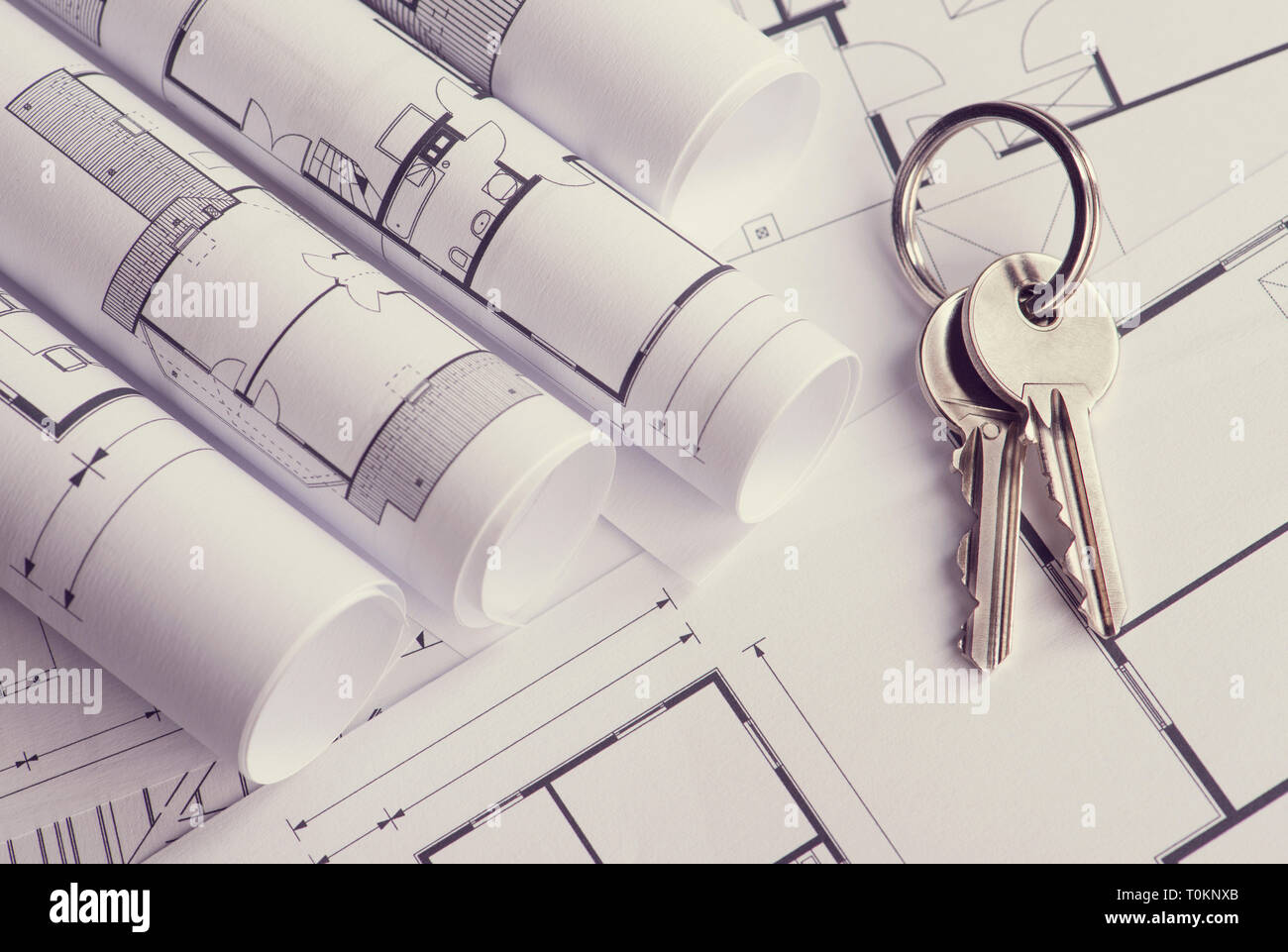 Toned and selective focus image. Bunch of keys on the house plan Stock ...