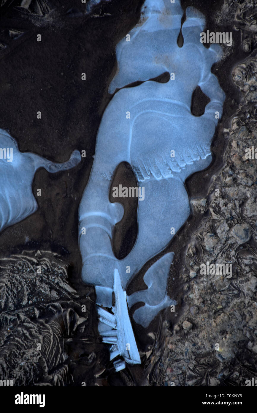 Puddle ice formations Stock Photo - Alamy