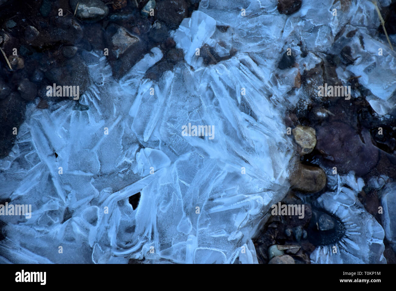 Puddle ice formations Stock Photo - Alamy