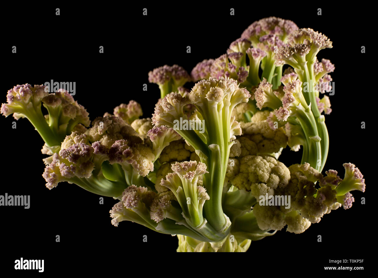 Cauliflower bloom hi-res stock photography and images - Alamy