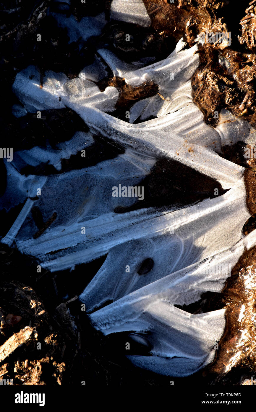 Puddle ice formations Stock Photo - Alamy