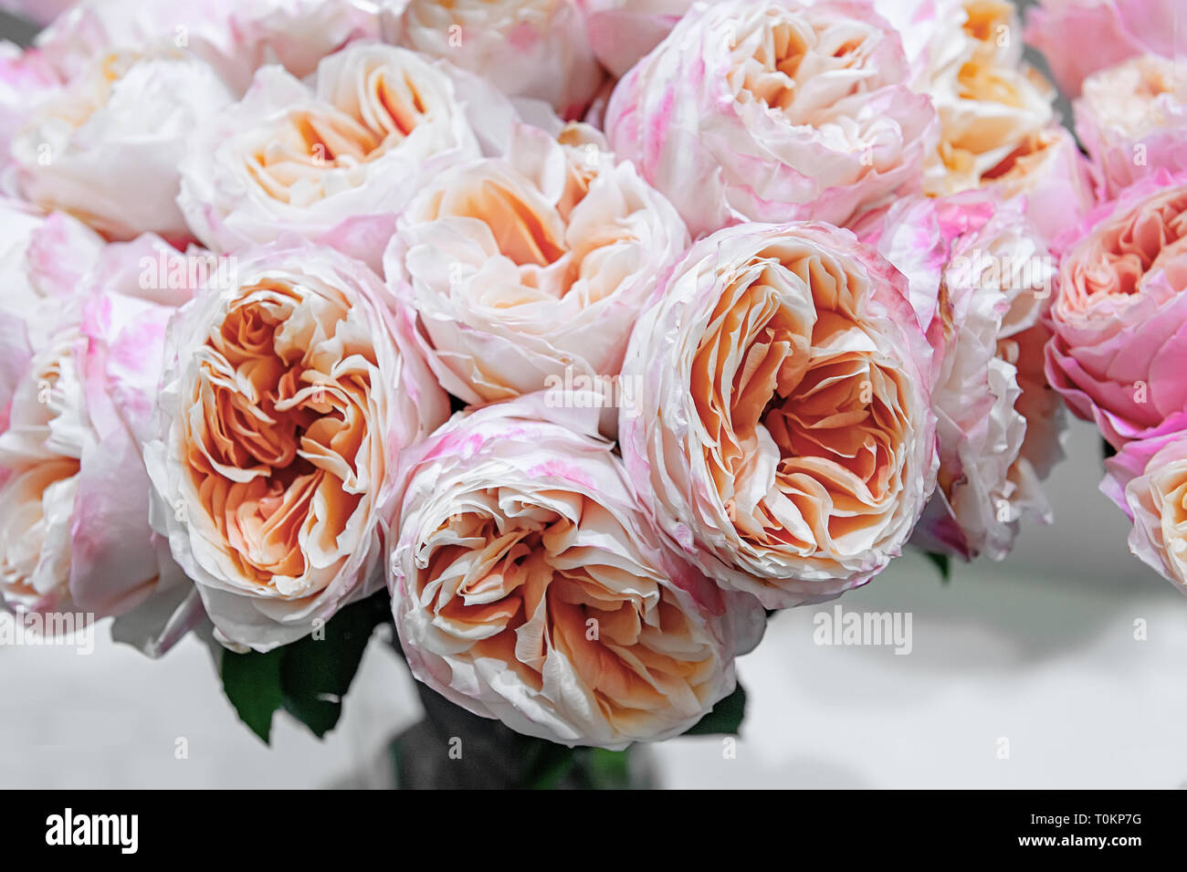 Exotic Roses of pink modern elite varieties in the bouquet as a gift ...
