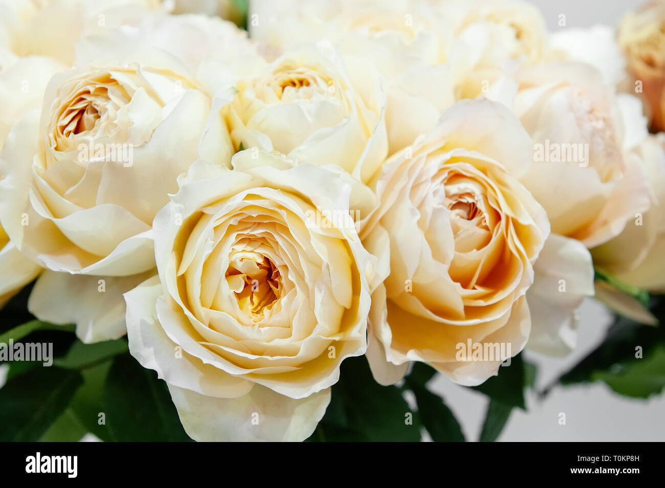 Exotic Roses of pink modern elite varieties in the bouquet as a gift ...