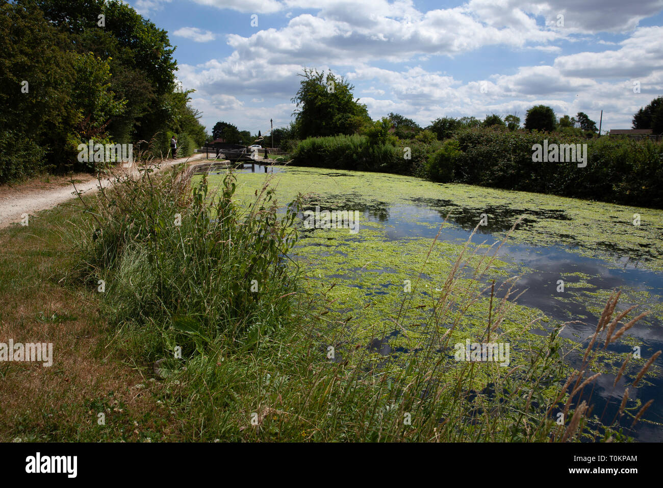 Chesterfield canal at Turnerwood double locks Stock Photo - Alamy