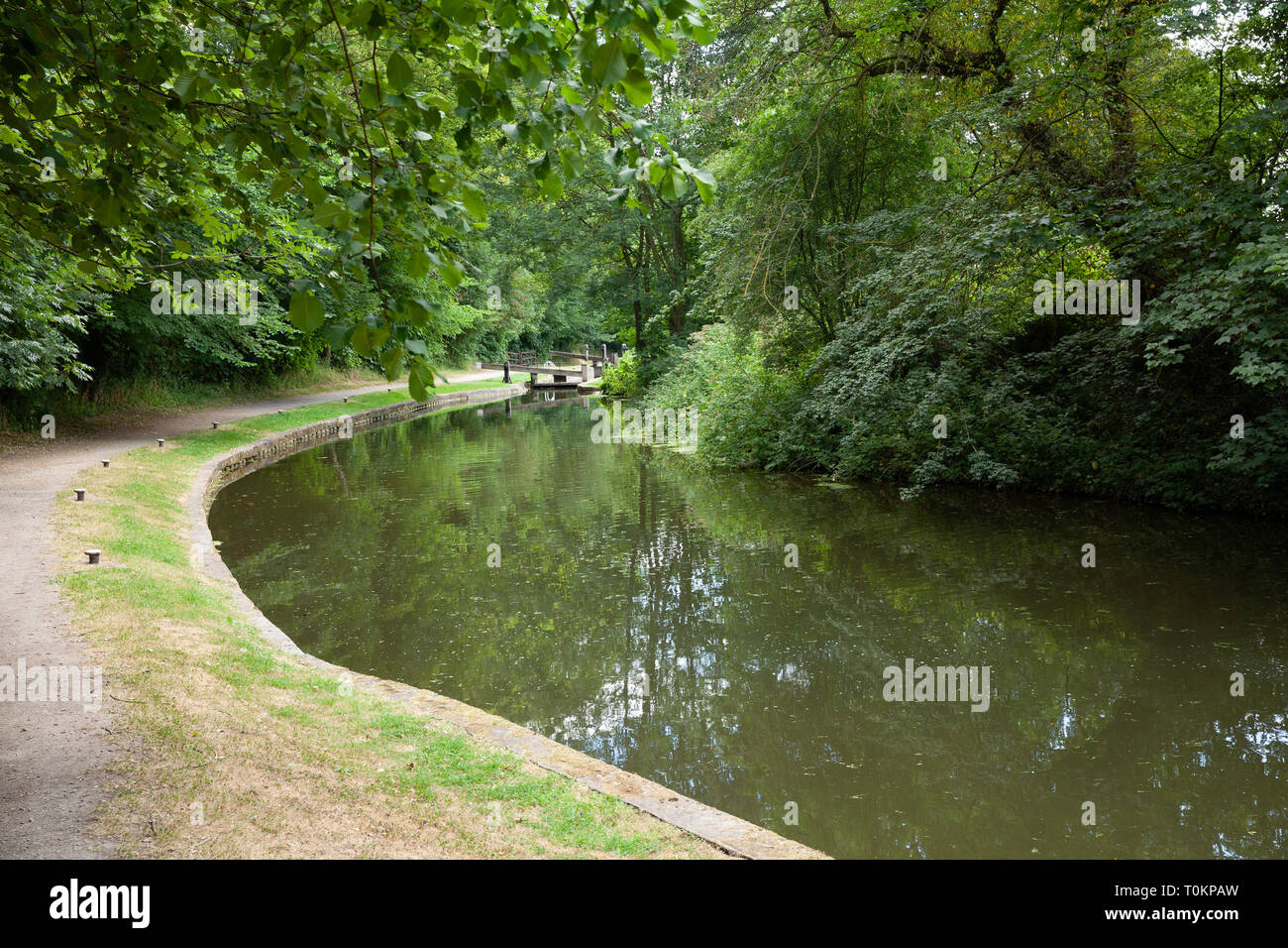 Chesterfield canal at Turnerwood double locks Stock Photo - Alamy