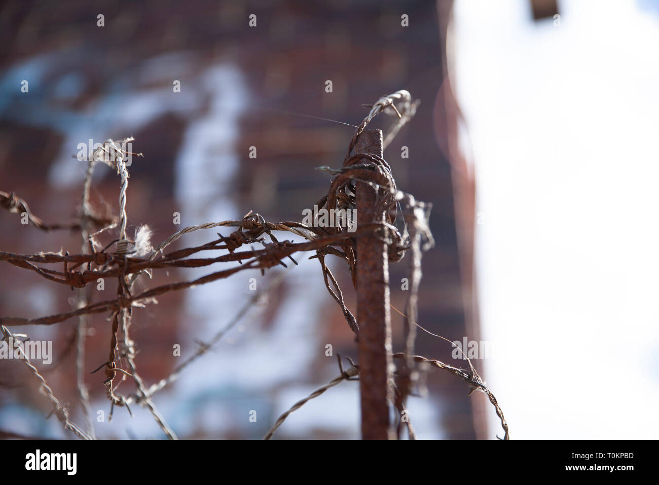 Sheffield graffiti, behind the barbed wire fence Stock Photo - Alamy