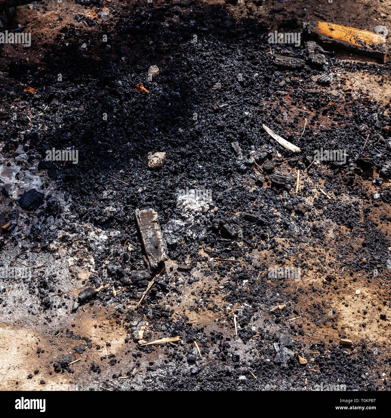 Will ash hi-res stock photography and images - Alamy