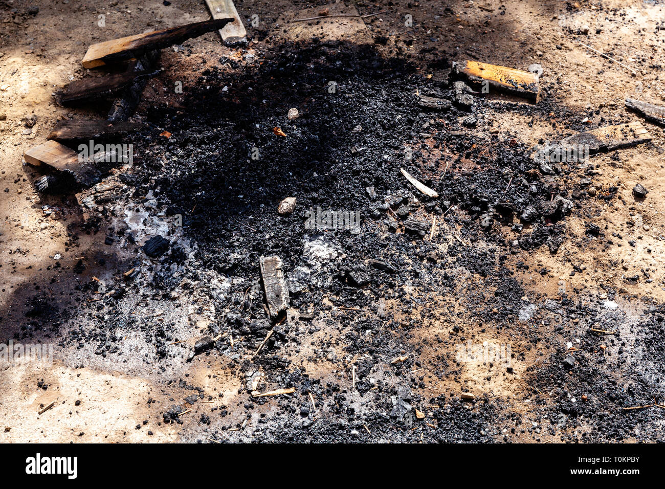 Will ash hi-res stock photography and images - Alamy