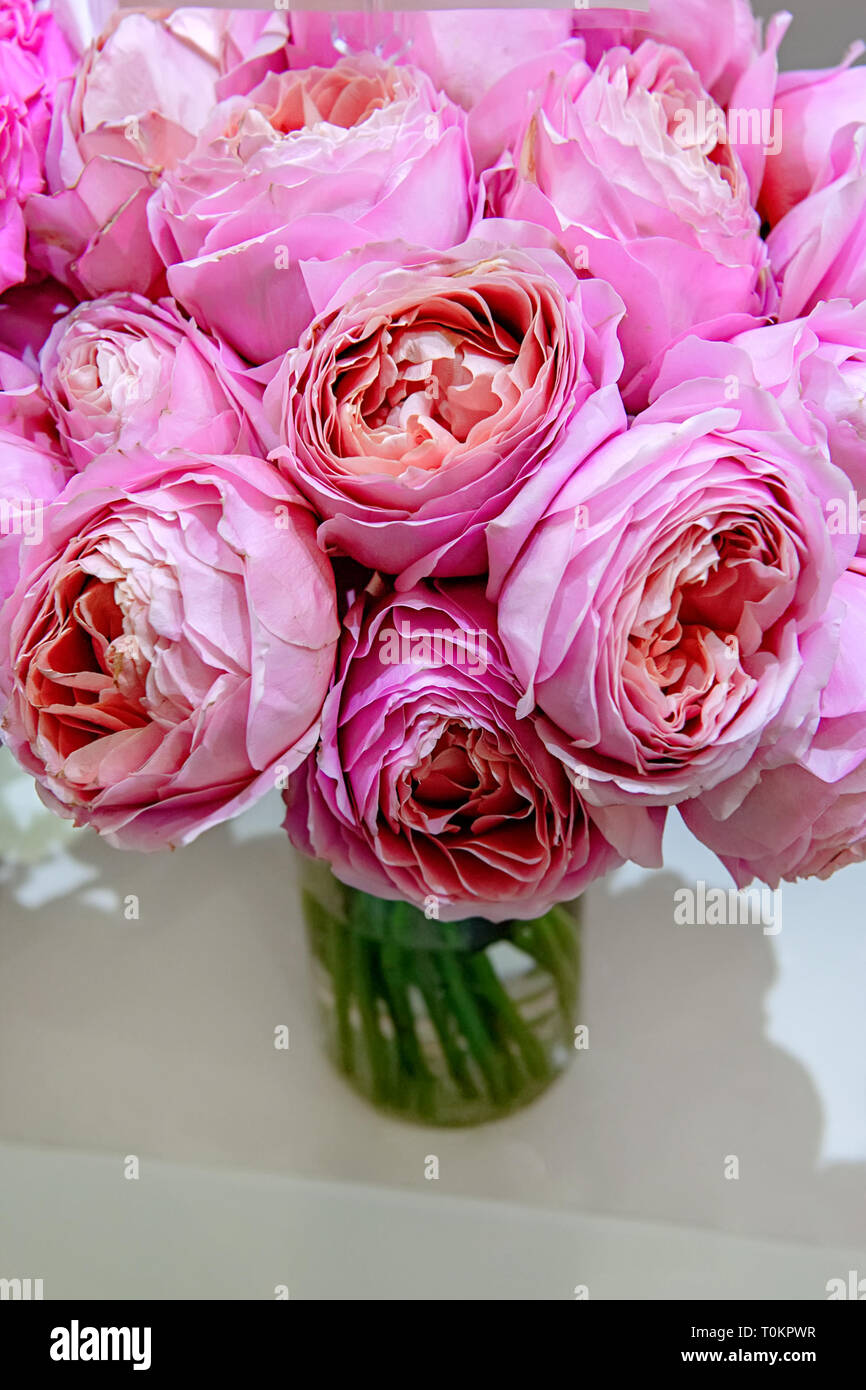 Exotic Roses of pink modern elite varieties in the bouquet as a gift ...