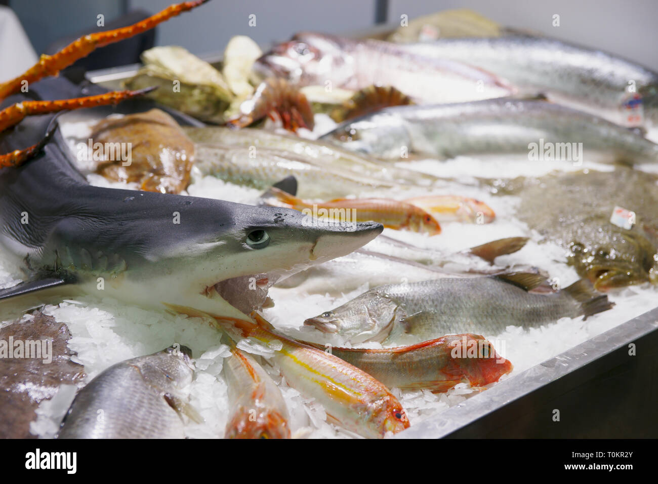 Great variety of fish and seafood on fish market ice display Stock ...