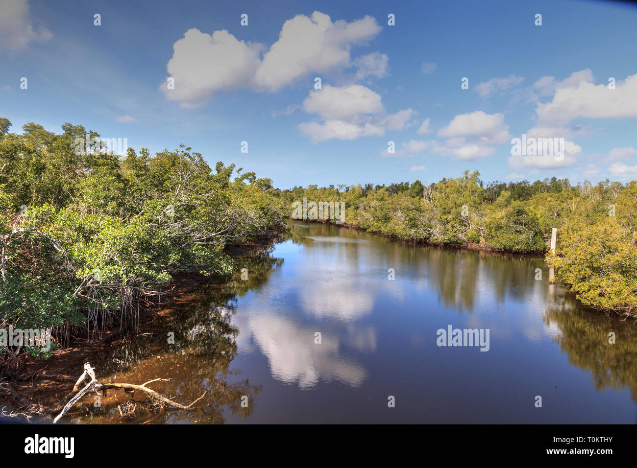 Blue sky and clouds over Henderson Creek, which runs through Rookery ...