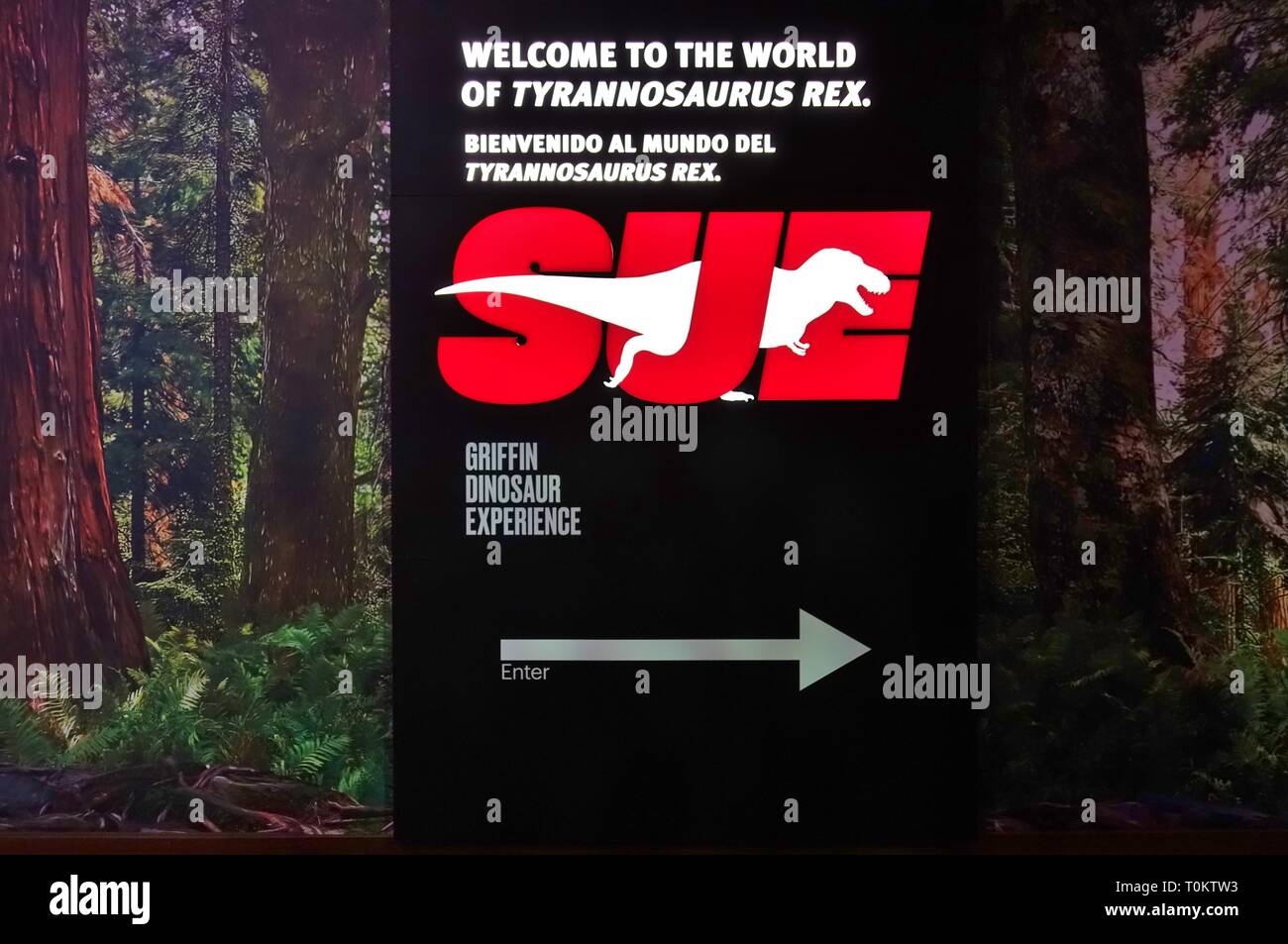 Sue t rex field museum hi-res stock photography and images - Alamy