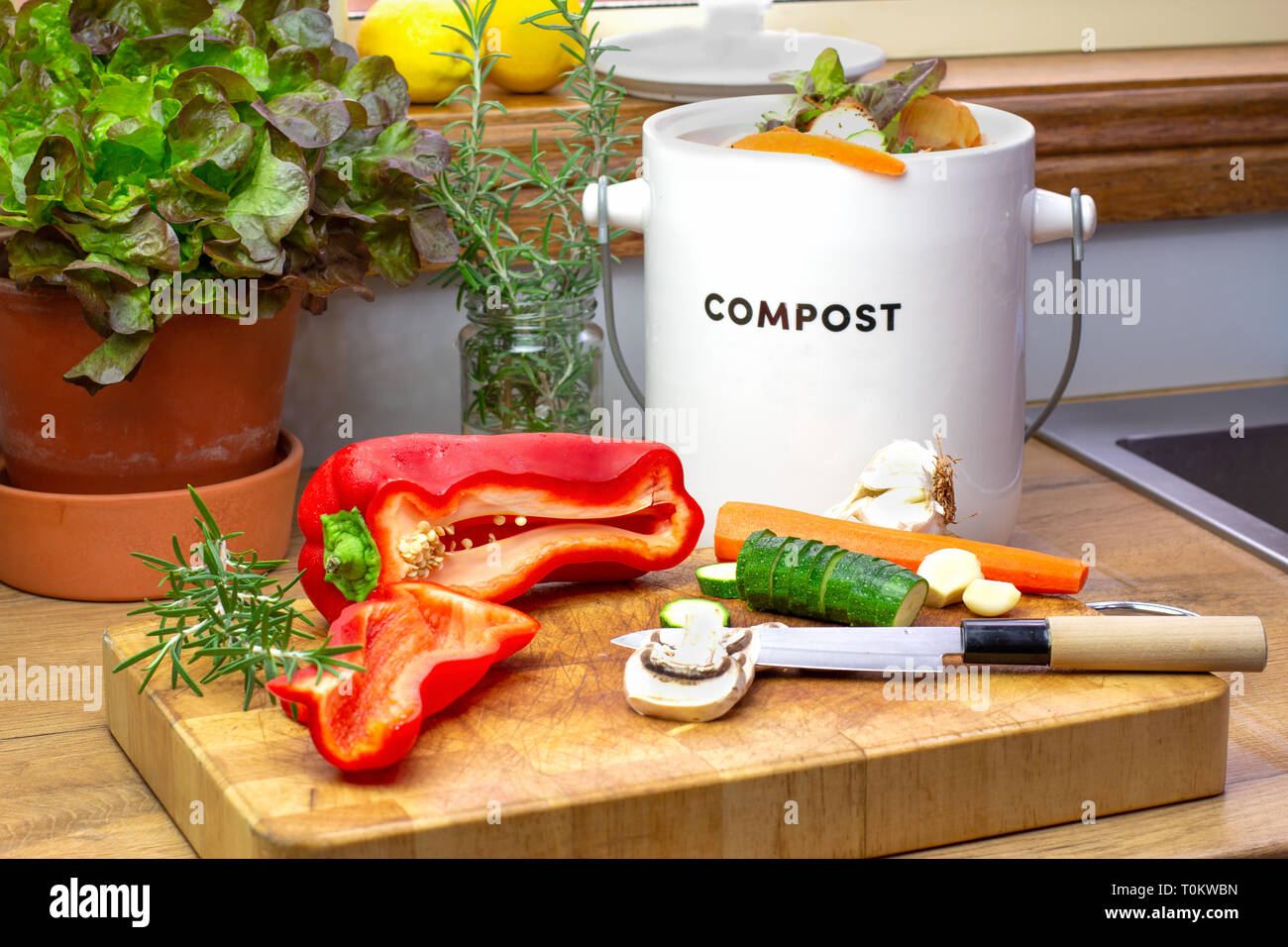 Food waste recycling kitchen, food waste from food preparation ...