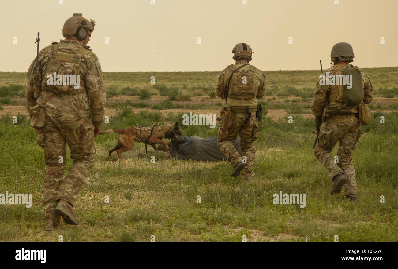 10th sfg hi-res stock photography and images - Alamy