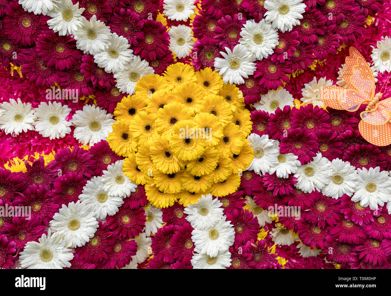 Beauty floristic decoration with colorful gerbera flowers Stock Photo ...