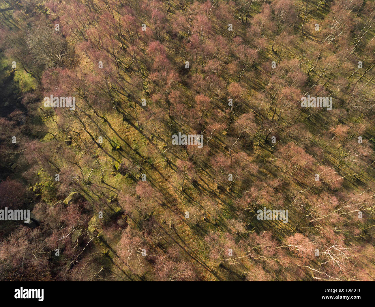 Beautiful abstract aerial drone landscape image of early morning ...