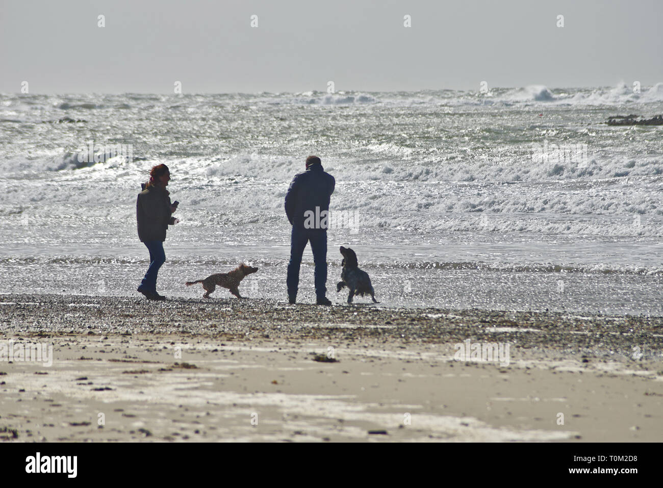 Mad dogs hi-res stock photography and images - Alamy