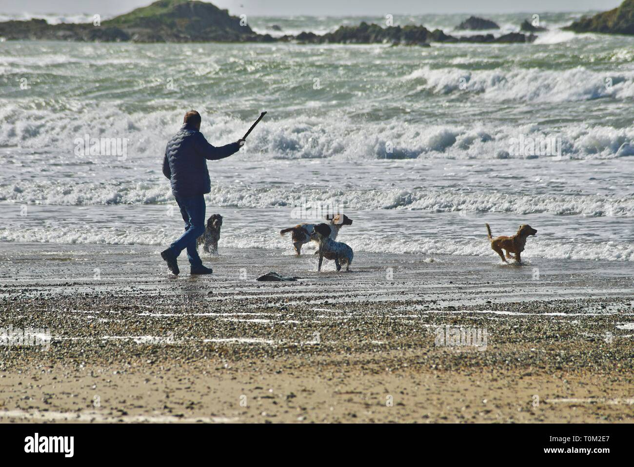 Traeth cymyran beach wales hi-res stock photography and images - Alamy