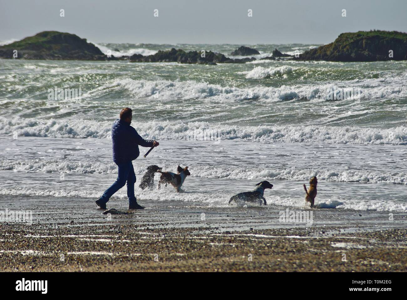 Lovers on a beach hi-res stock photography and images - Alamy