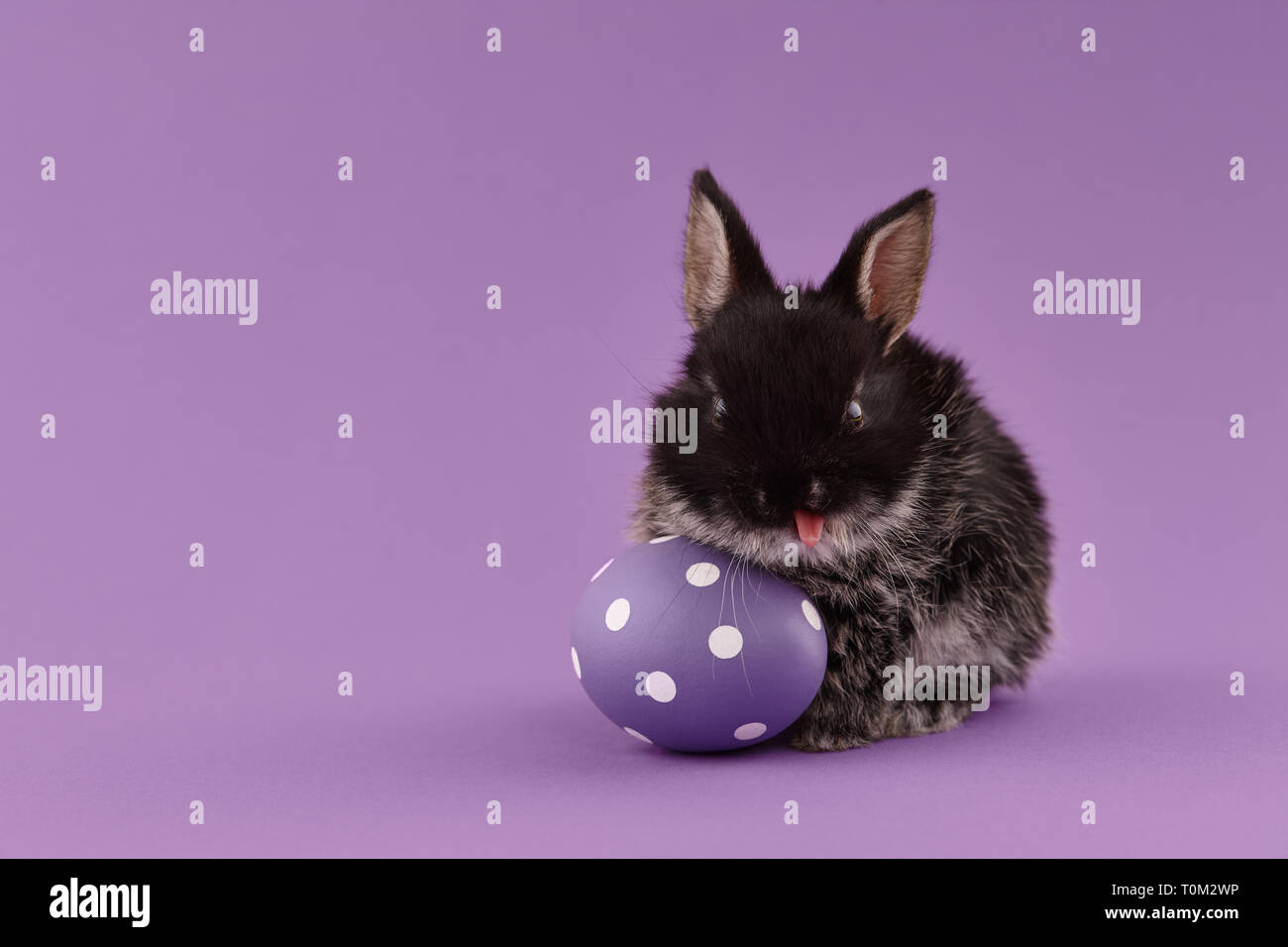 Putting out tongue hi-res stock photography and images - Alamy