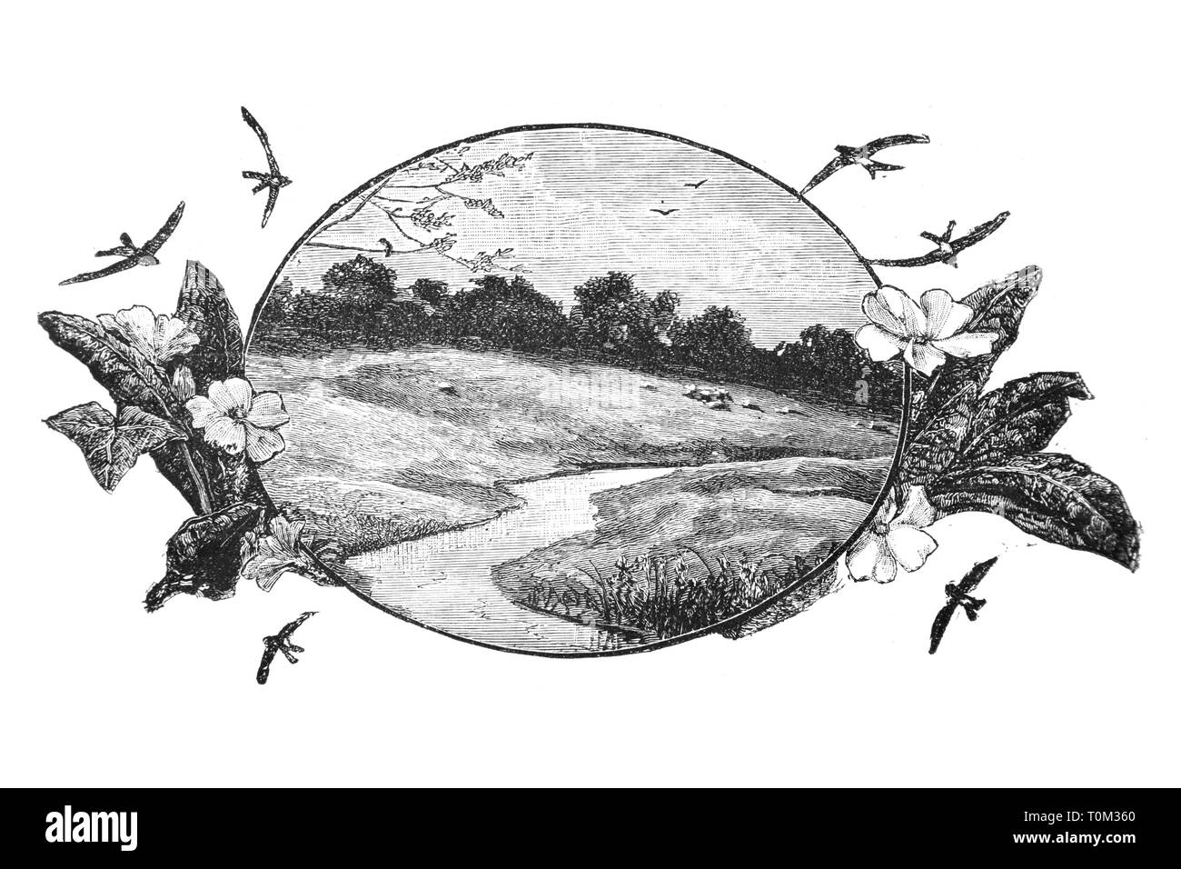 Representation of nature - Vintage Engraved Illustration, 1894 Stock ...