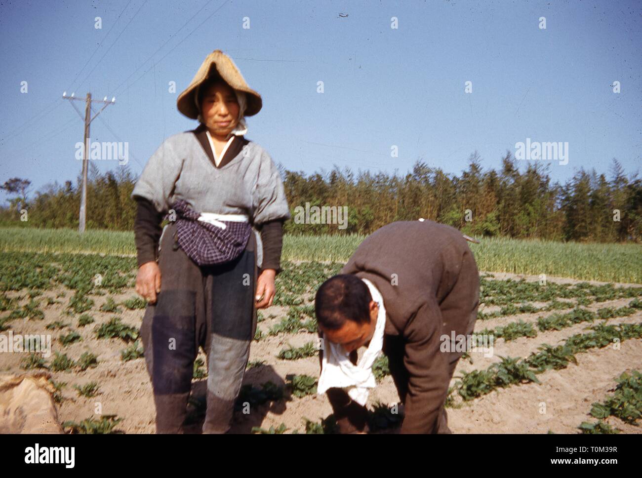 Japan farmer man old hi-res stock photography and images - Alamy