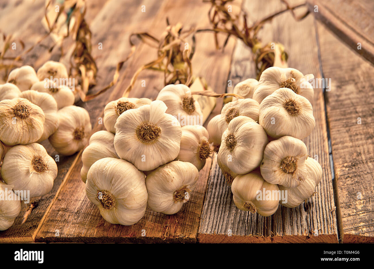 Close up on a fresh bunch of garlic hanging up at the farmers market ...