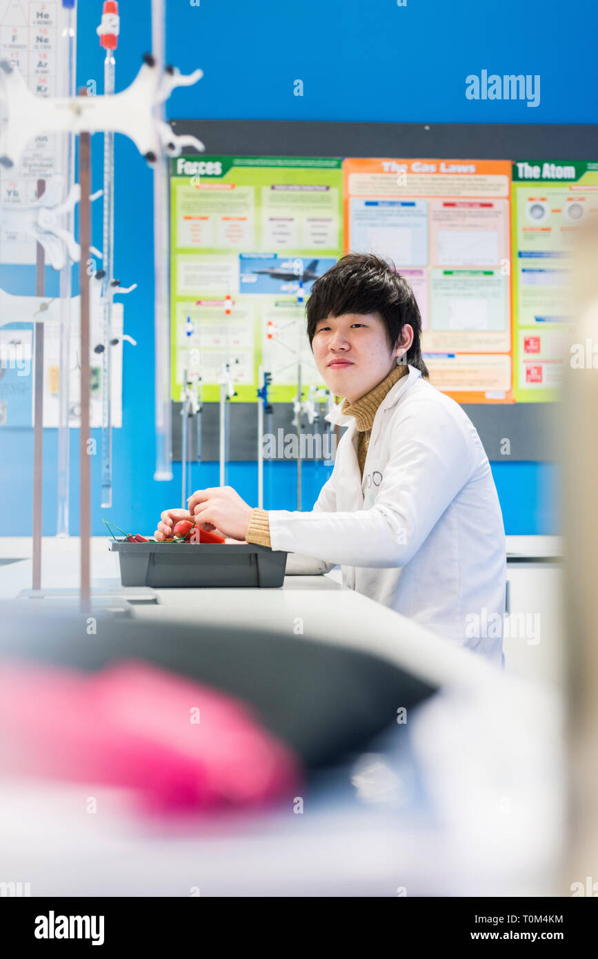 A young overseas international Asian college student in the science lab ...