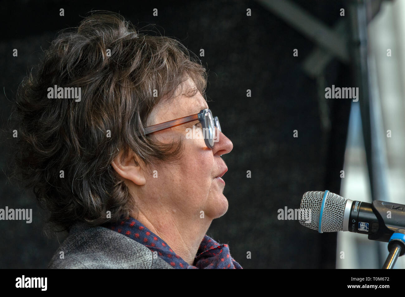 New zealand crow hi-res stock photography and images - Alamy