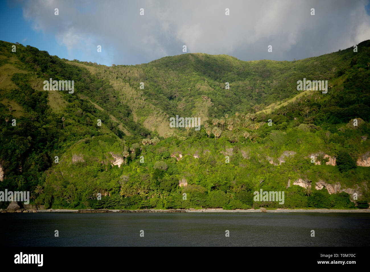 Tanimbar hi-res stock photography and images - Alamy