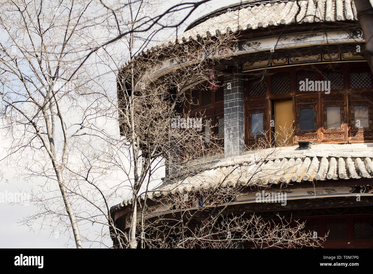 Expensive Oriental Style Houses