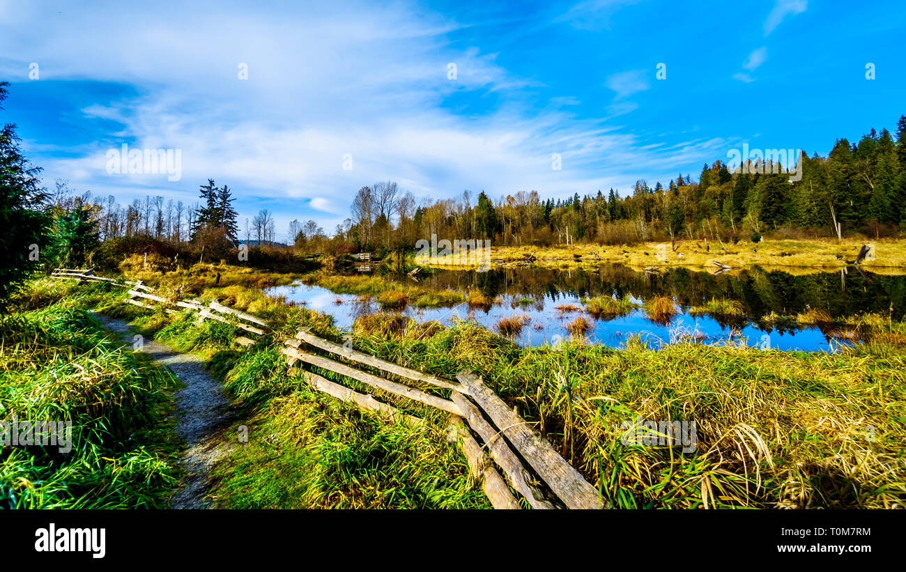 British wetlands hi-res stock photography and images - Alamy