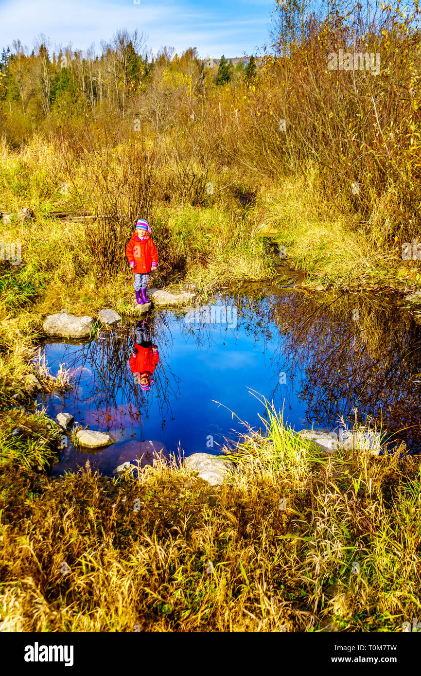 Little Girl looking at her reflection in the water of Silverdale Creek ...