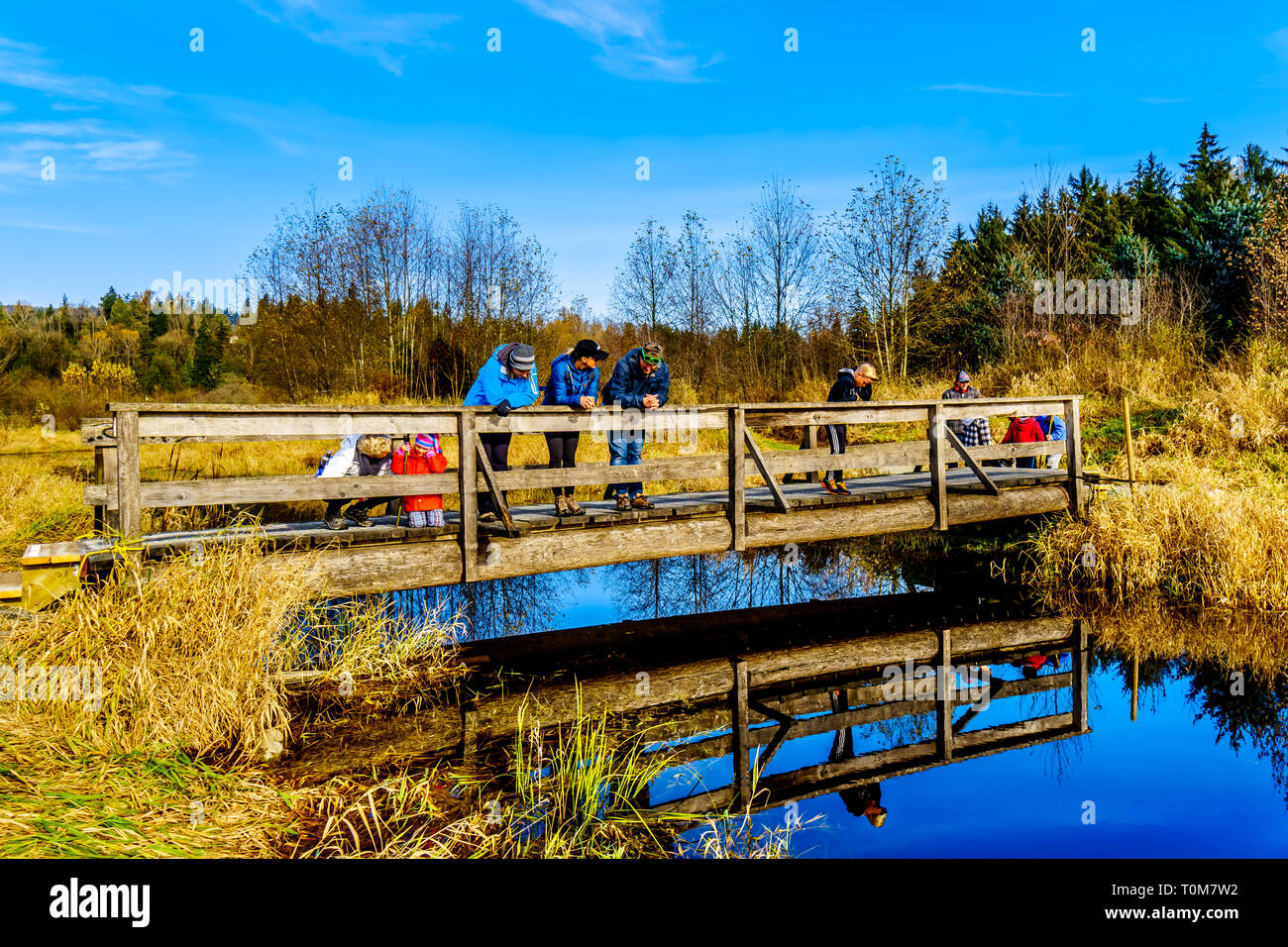 Three generations of a family on a bridge on the hiking trails of ...