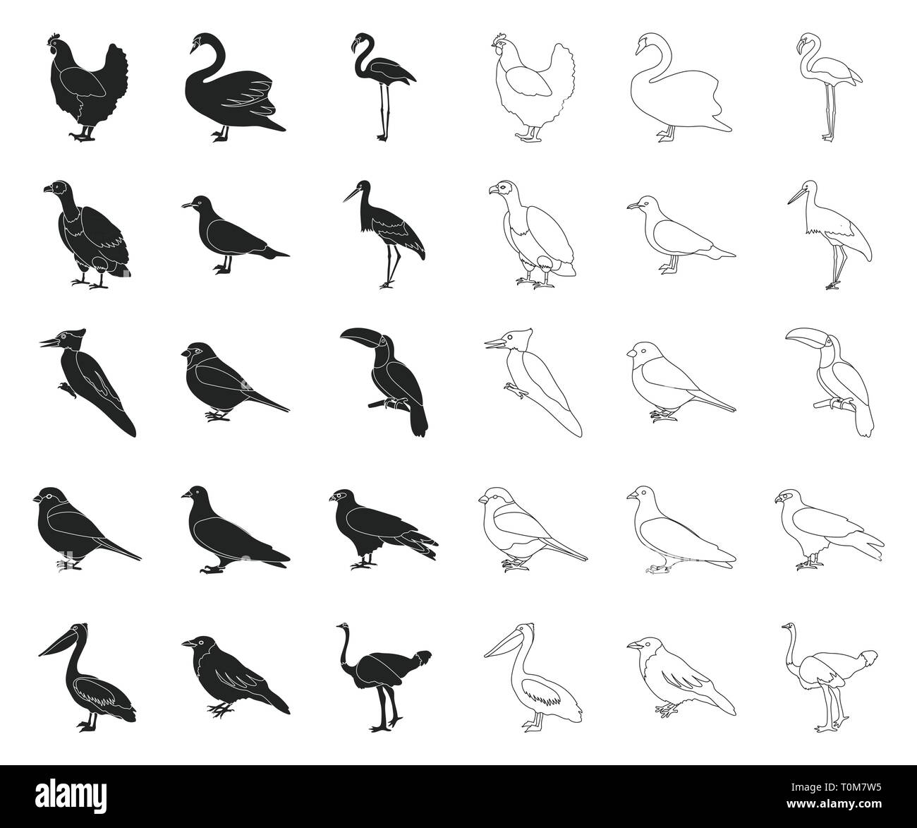 animal,art,beak,bird,black,outline,bullfinch,chicken,collection,crow ...