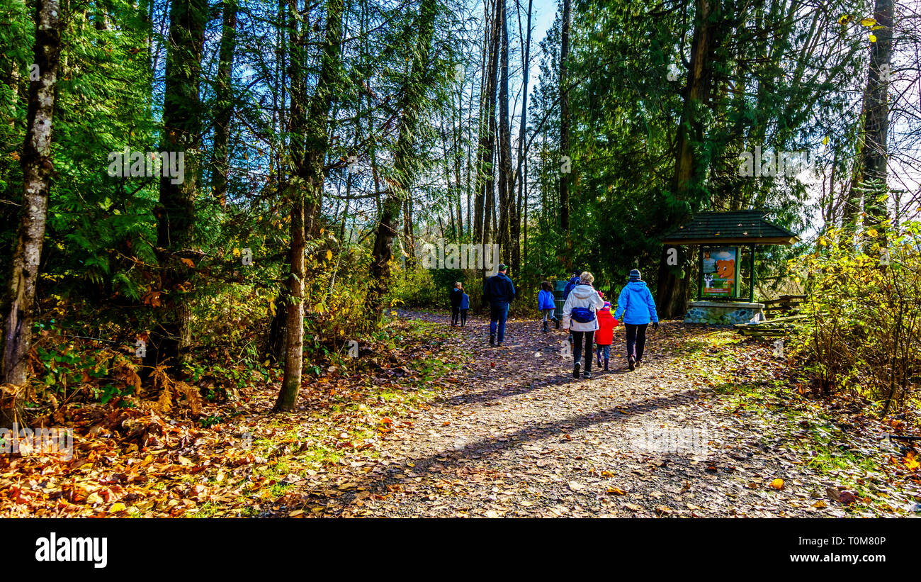 Family hiking the trails of Silverdale Creek Wetlands, a freshwater ...