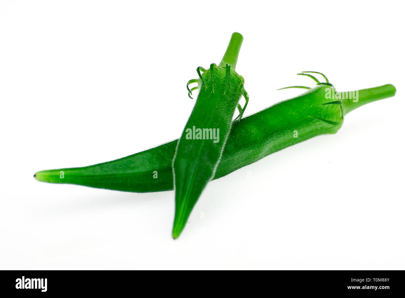Okra isolated on white background Stock Photo - Alamy