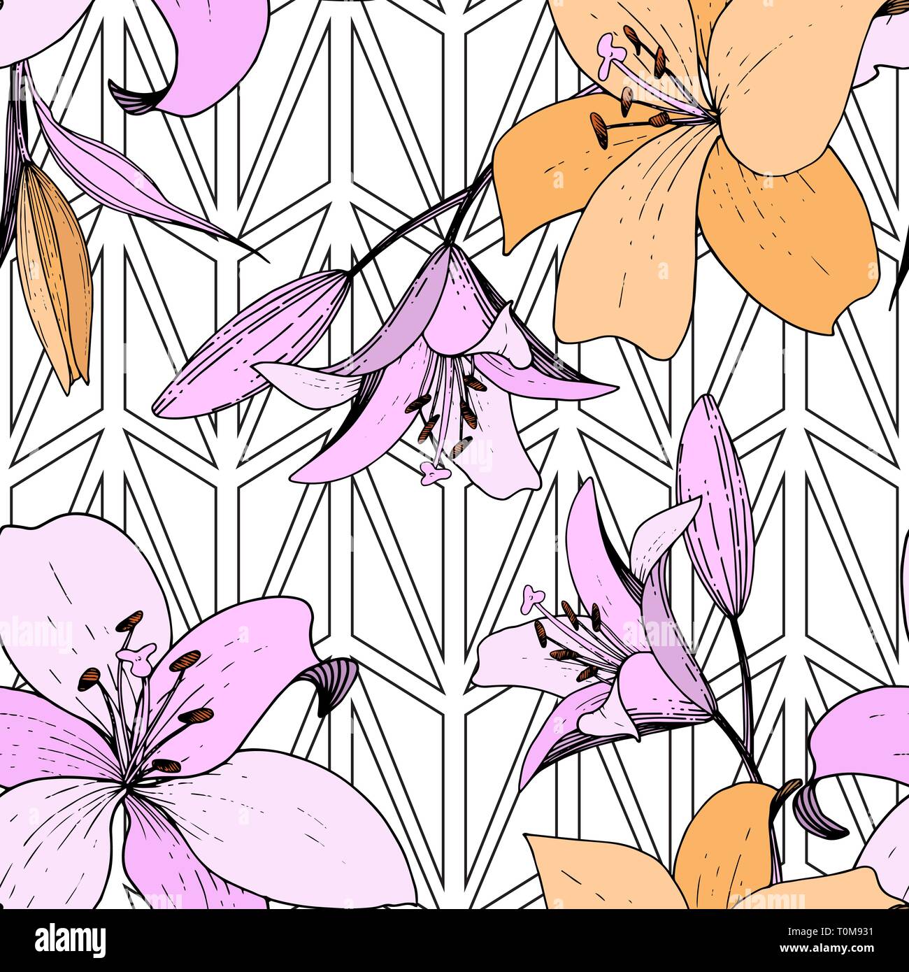 Vector Lily floral botanical flower. Engraved ink art. Seamless ...