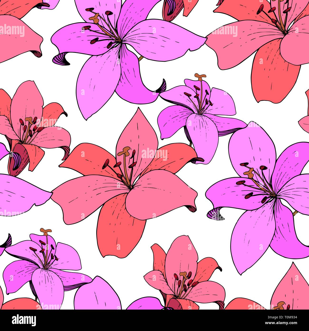 Vector Lily floral botanical flower. Engraved ink art. Seamless ...