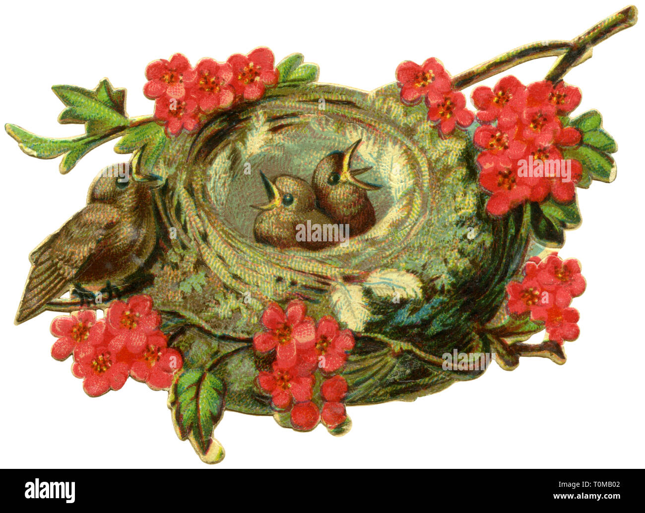 kitsch / souvenir, nestling in the nest becoming fully fledged ...