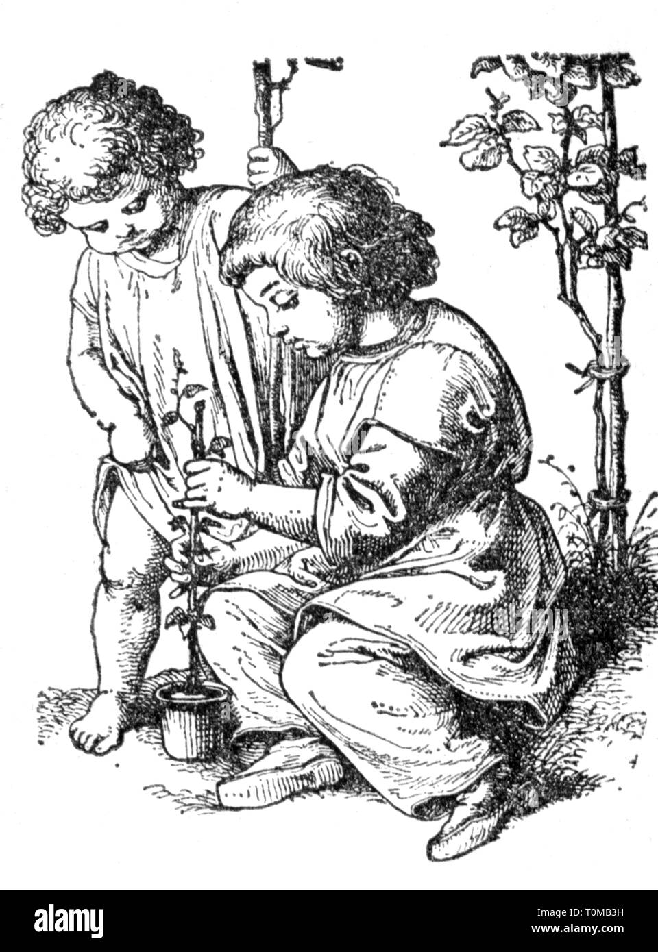 Historical tree planting Cut Out Stock Images & Pictures - Alamy