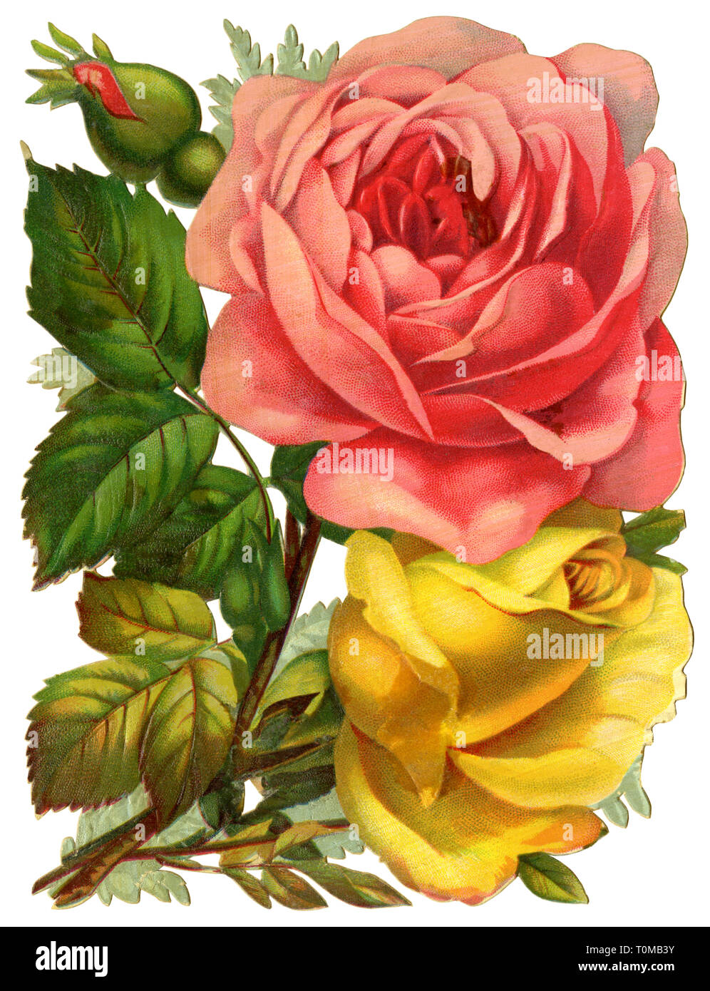 kitsch/cards/souvenir, flower arrangement with roses, lithograph ...