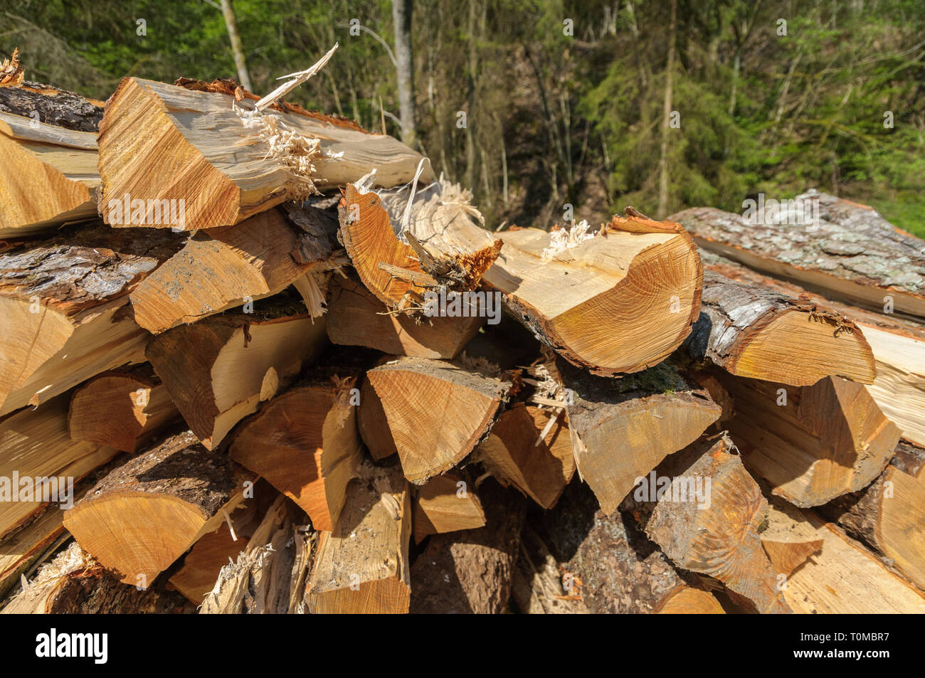 Wallpaper production hi-res stock photography and images - Alamy