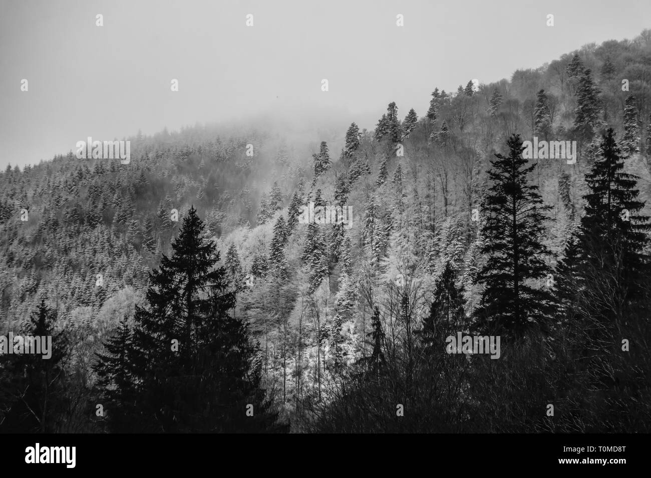 Amaizing scenery Black and White Stock Photos & Images - Alamy