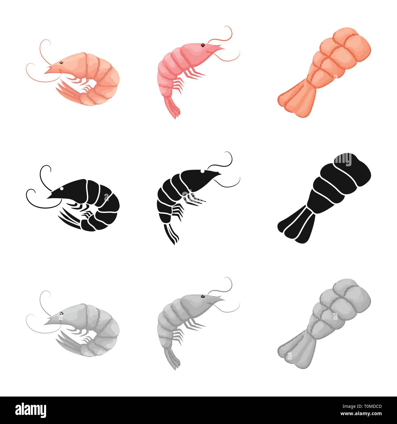 Atlantic prawn Stock Vector Images - Alamy