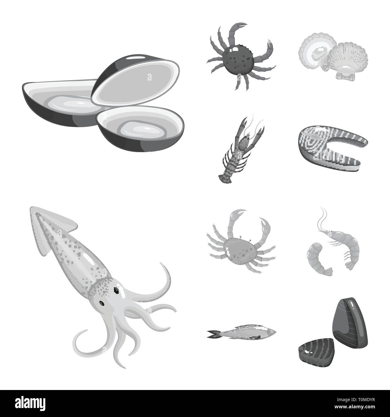mussel,crab,jellyfish,lobster,salmon,octopus,shrimp,jelly,shell,fish ...