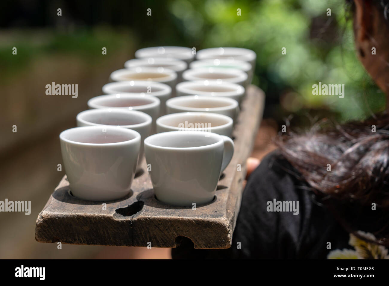 Balinese girl waiter carries a variety of coffee and tea for tourists ...