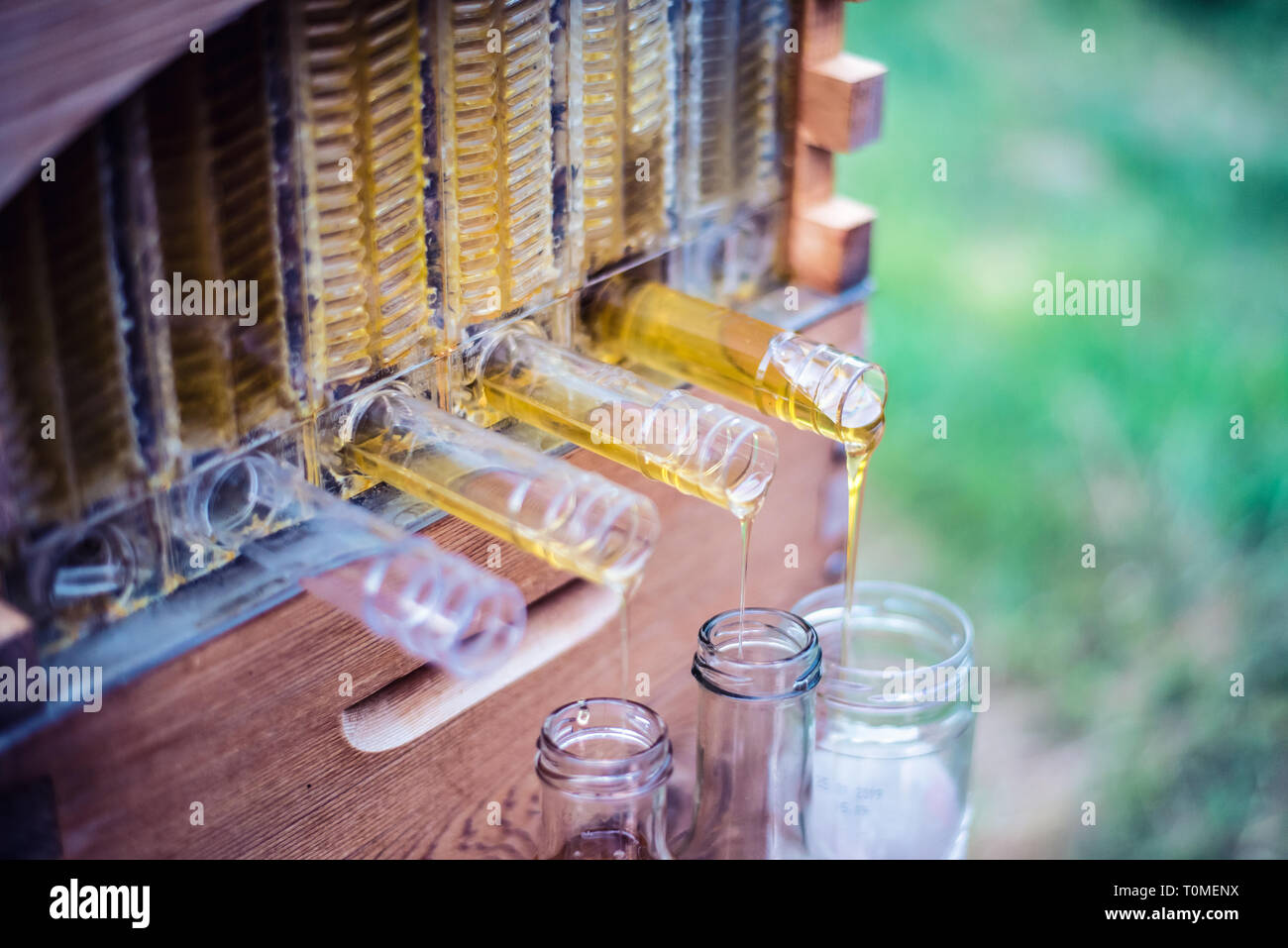 Raw Honey collects into jars from a Flow Hive Honey Super Stock Photo ...