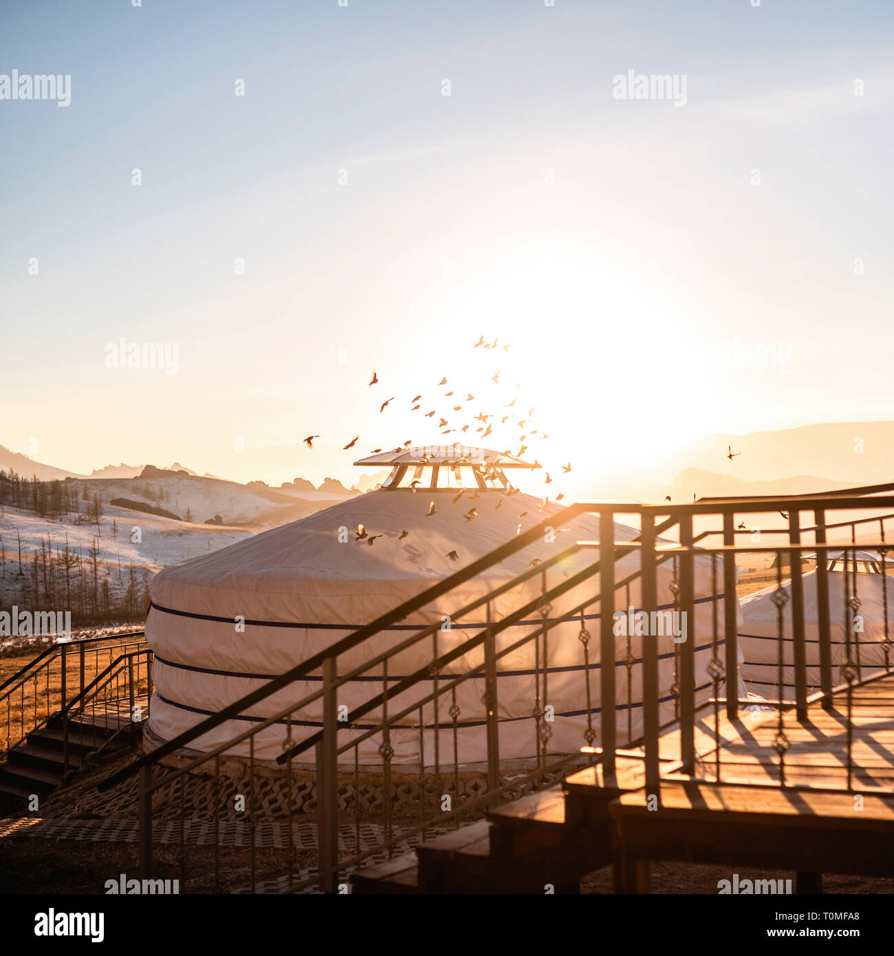 Many birds circle yurt at sunset, Mongolian Switzerland, Mongolia Stock ...
